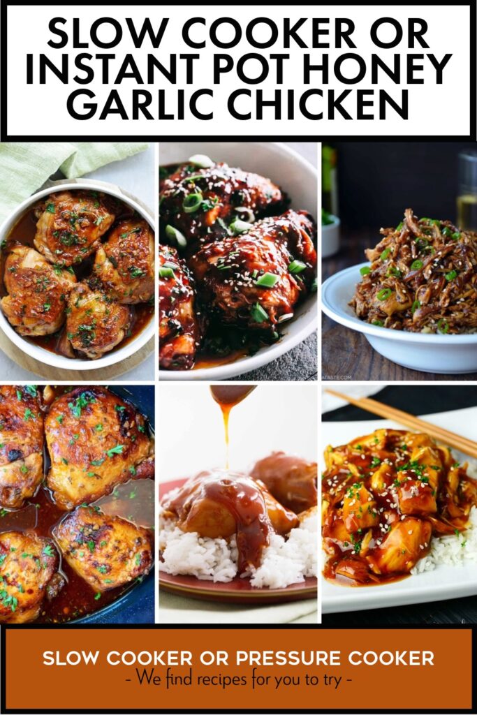 Slow Cooker or Instant Pot Honey Garlic Chicken - Slow Cooker or ...